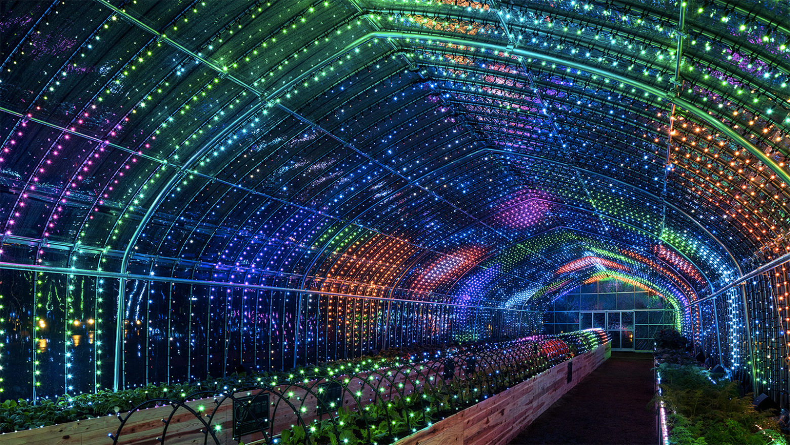 Psychedelic digital greenhouse springs up in Tokyo