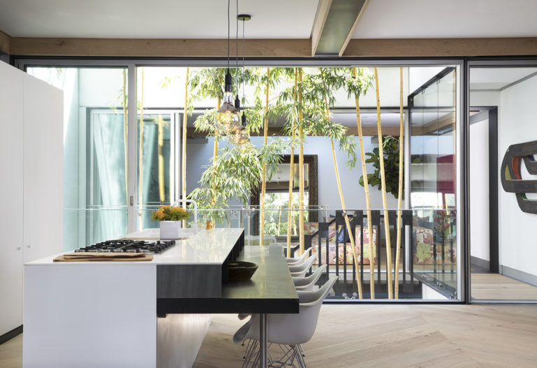 San Francisco Victorian gets a radical revamp and a new jewel-box atrium