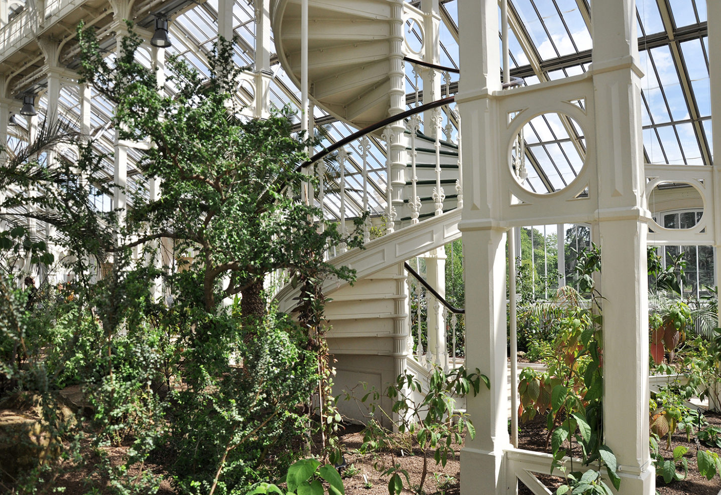 Take a virtual tour of 9 beautiful botanical gardens - The Spaces