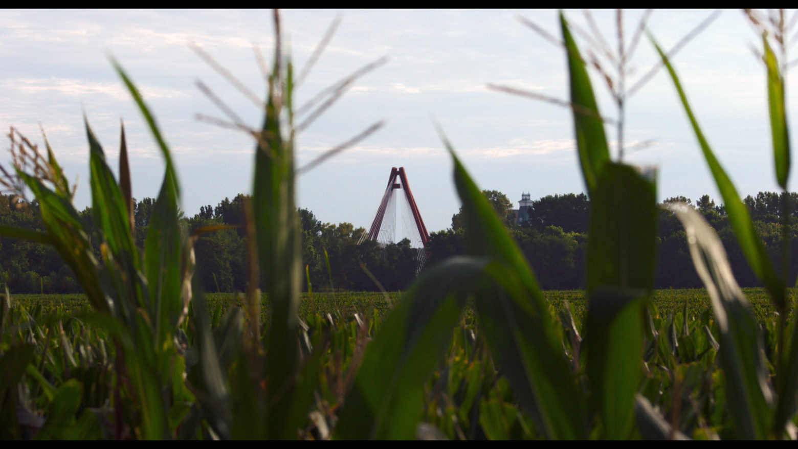 New film 'Columbus' is a love-letter to modernism - The Spaces