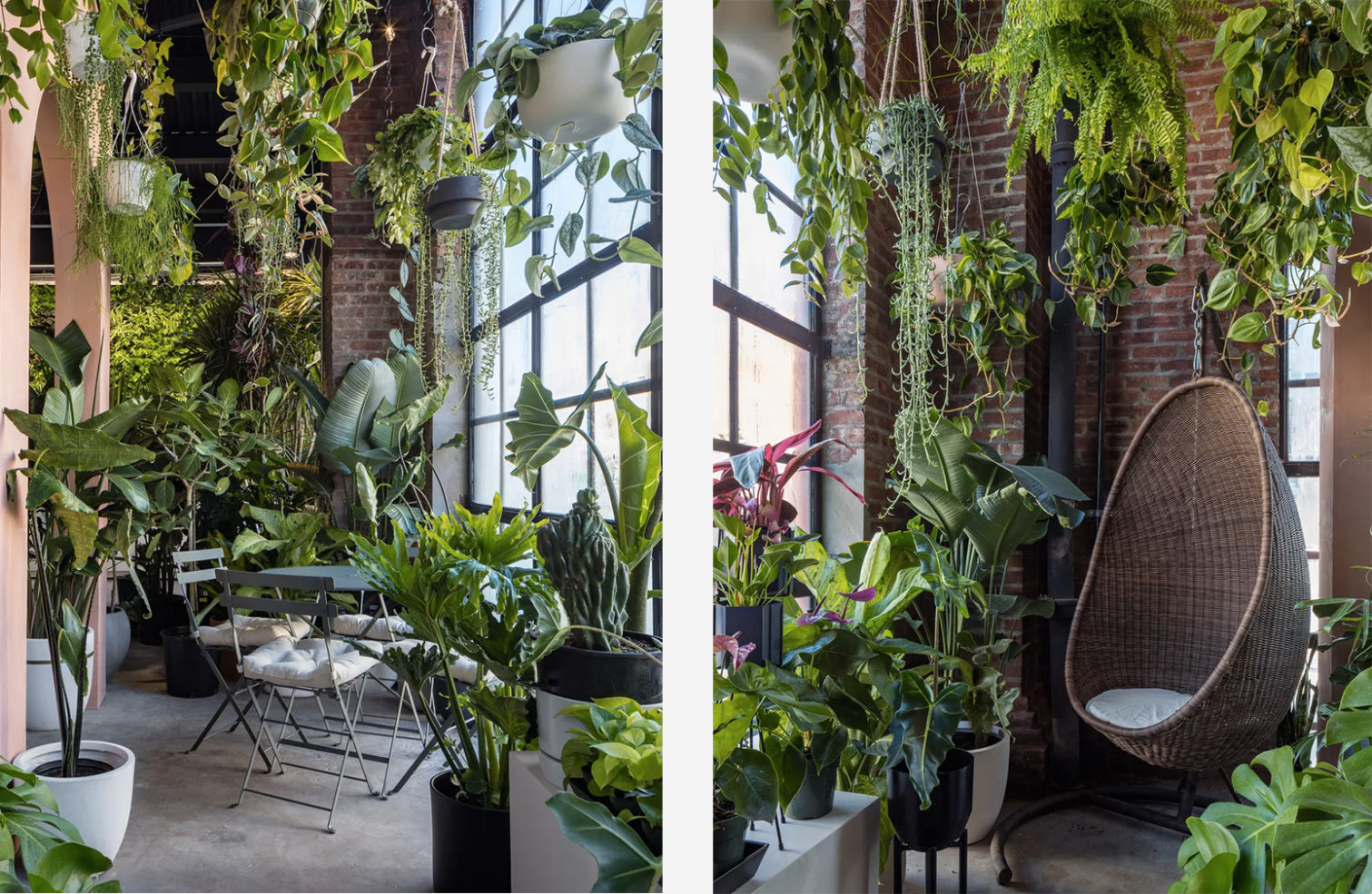 New York’s 'greenest' store throws open its doors - The Spaces