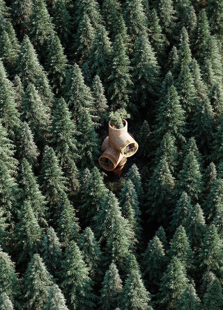 These tubular treehouses can branch out as owners need more space - The ...