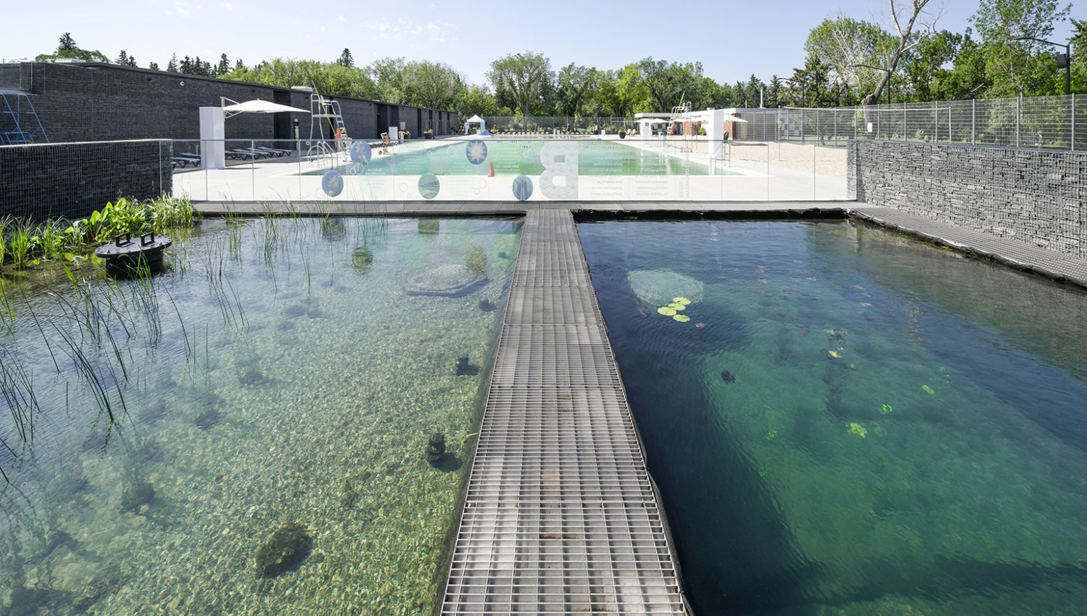 This 'living' swimming pool is a first in Canada - The Spaces