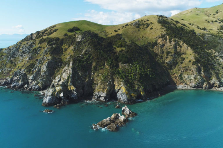 New Zealand island with eco-tourism enclave asks for $16m - The Spaces