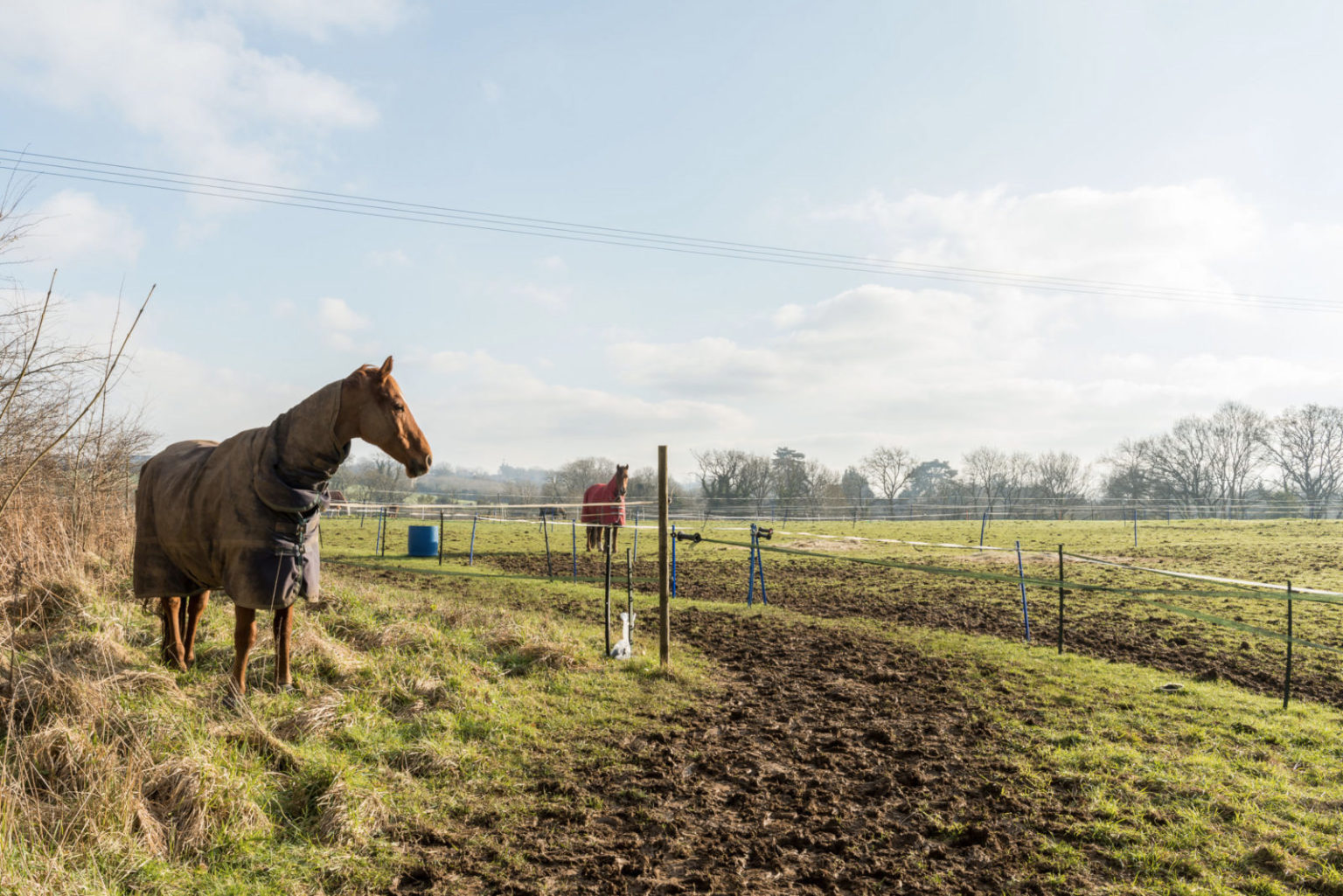 Glass walls illuminate this epic barn conversion in Frome, Somerset ...