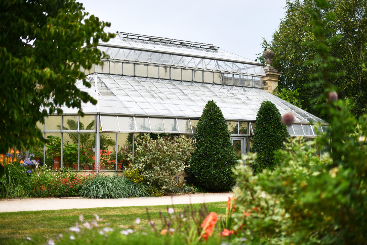 Inside the Oxford Botanic Glasshouses – ancient botany in the historic ...