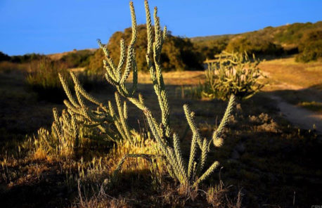 John Wayne’s 2,000-acre ranch is for sale in California - The Spaces