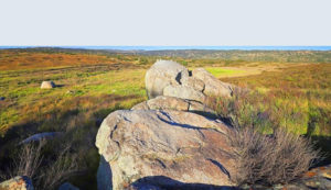 John Wayne’s 2,000-acre ranch is for sale in California - The Spaces