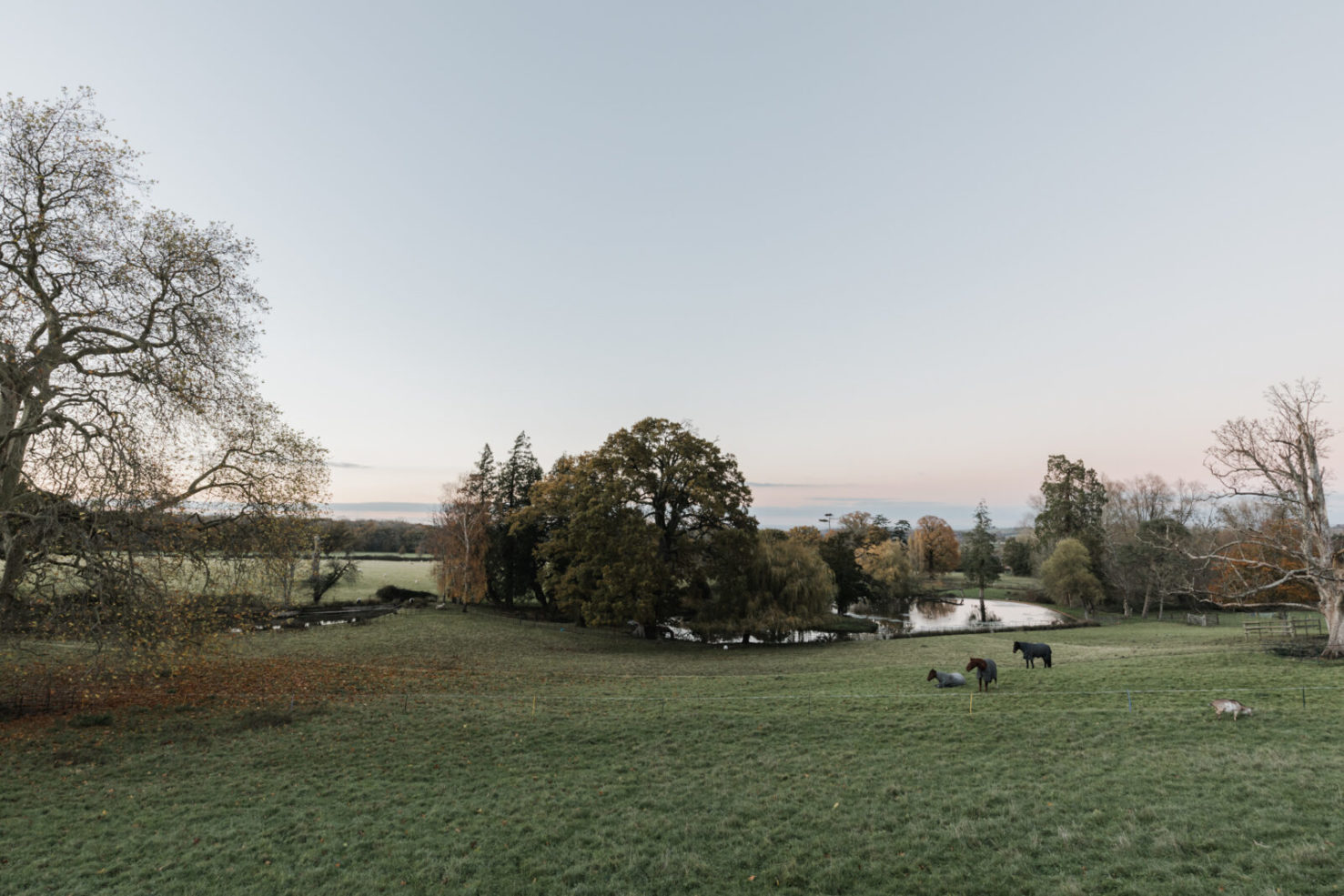 Peek inside Dorset countryside estate Woolland House - The Spaces