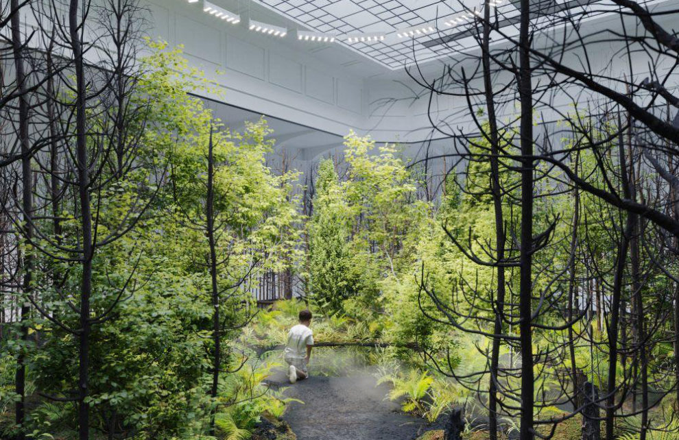 Nature takes over Vienna’s Museum of Applied Arts with pop-up forest ...