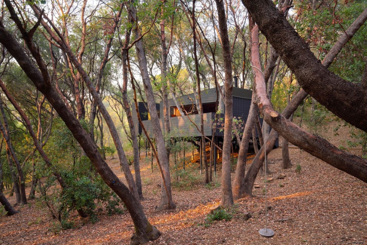 This northern California home unfurls across the forest floor as a ...