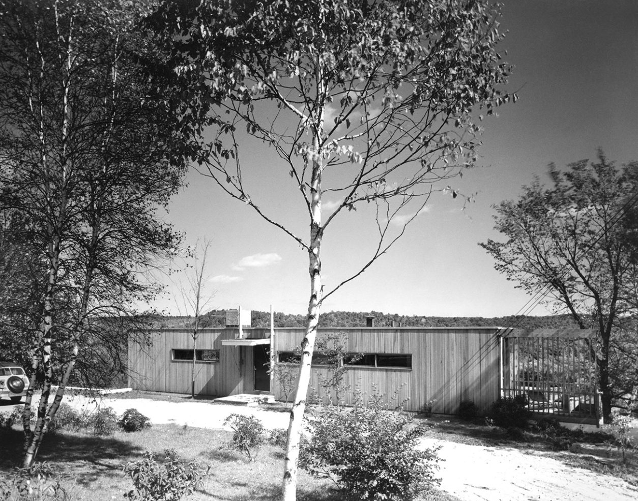 This new film and book explore the midcentury community that fell for ...