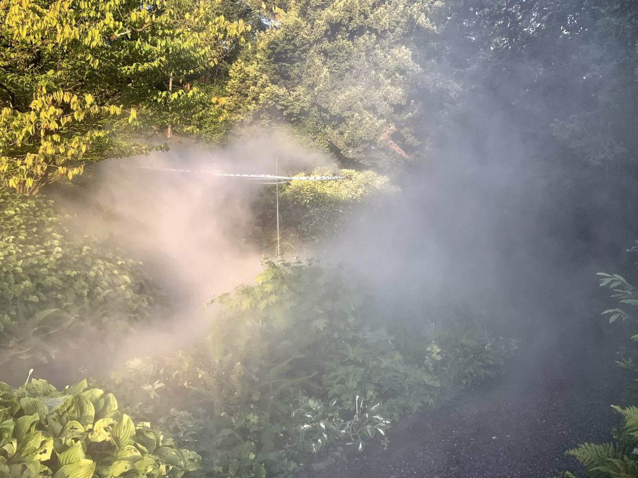 An immersive installation wreathes Zurich’s Old Botanical Garden in ...