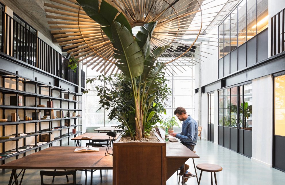 Barbados wants remote workers to hole up there for a year-long ...