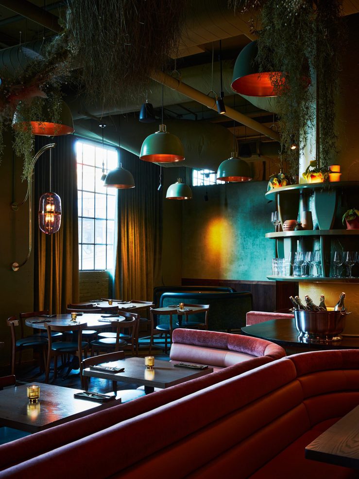 Atlanta’s Atrium bar is a tropical wonderland of birds and plants - The ...