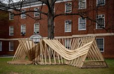 Leftover lumber and mycelium are the stars of this bio-build exhibition