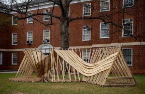 Leftover lumber and mycelium are the stars of this bio-build exhibition