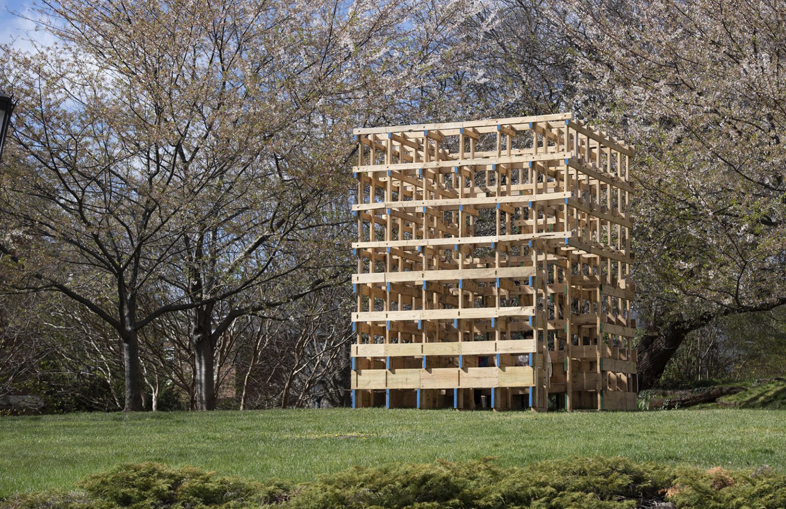 Leftover lumber and mycelium are the stars of this bio-build exhibition