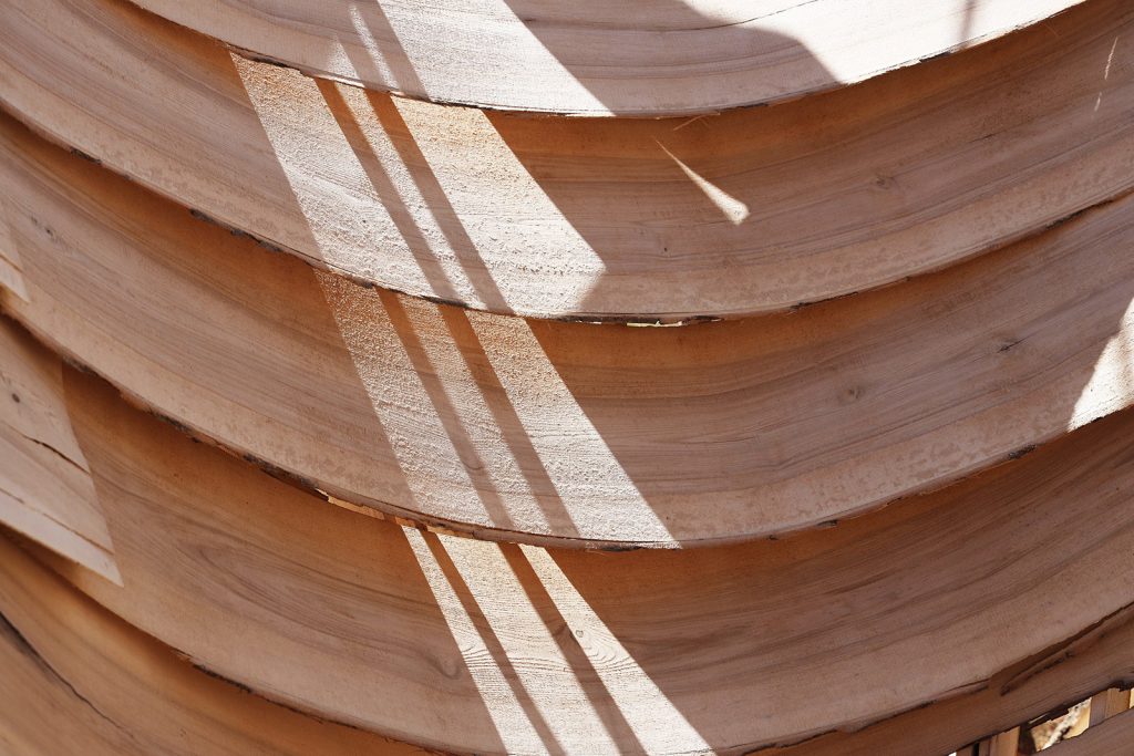 Leftover lumber and mycelium are the stars of this bio-build exhibition