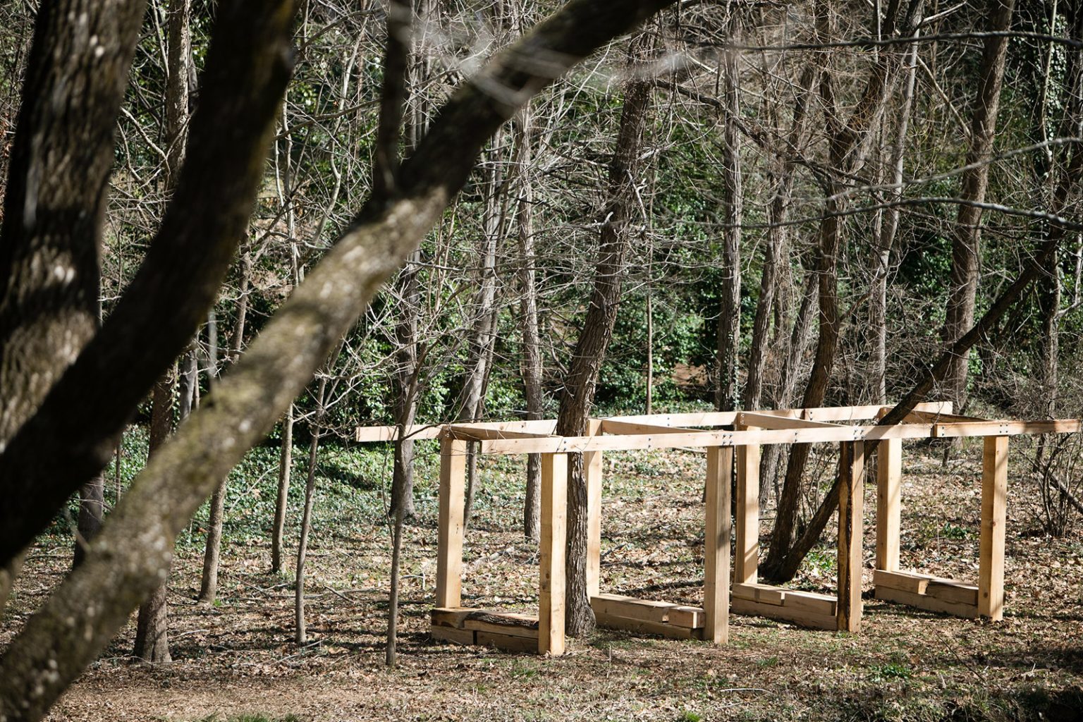 Leftover lumber and mycelium are the stars of this bio-build exhibition