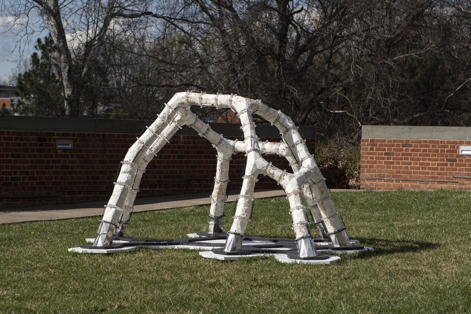 Leftover lumber and mycelium are the stars of this bio-build exhibition