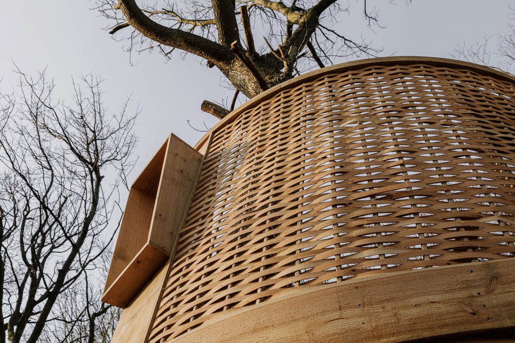 Sylvascope is a ‘woven’ treehouse made from the woodland that surrounds ...