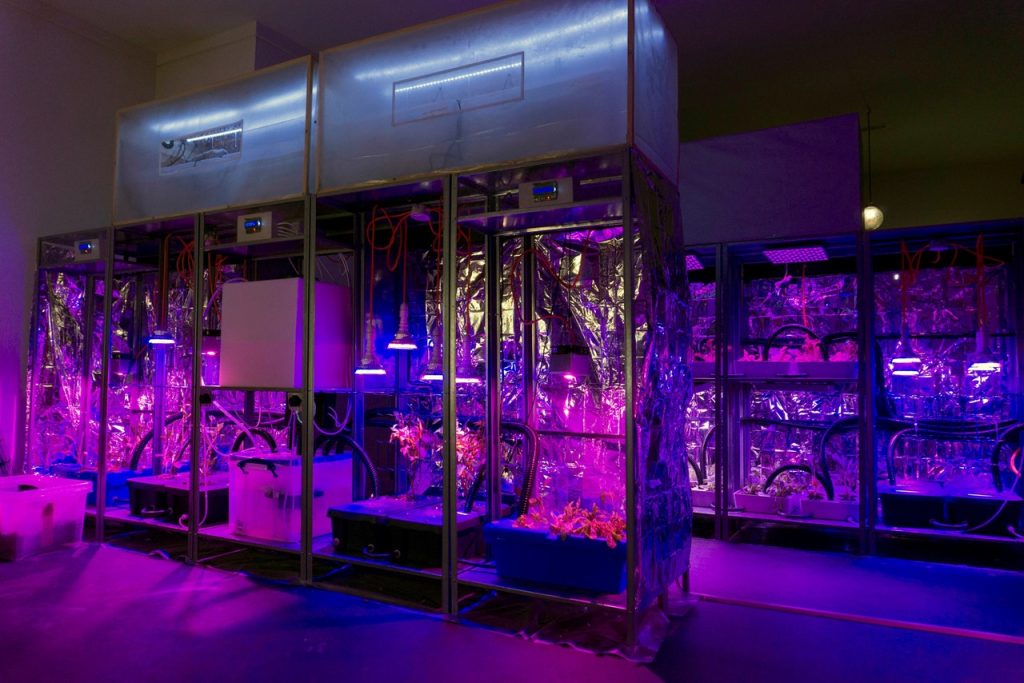 Tate’s Radical Landscapes puts land art and social politics in focus