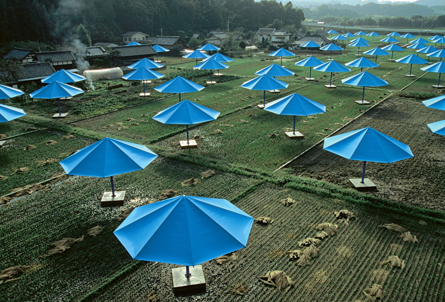 Christo and Jeanne-Claude's 'Ephemeral Nature' show unravels the duo's ...