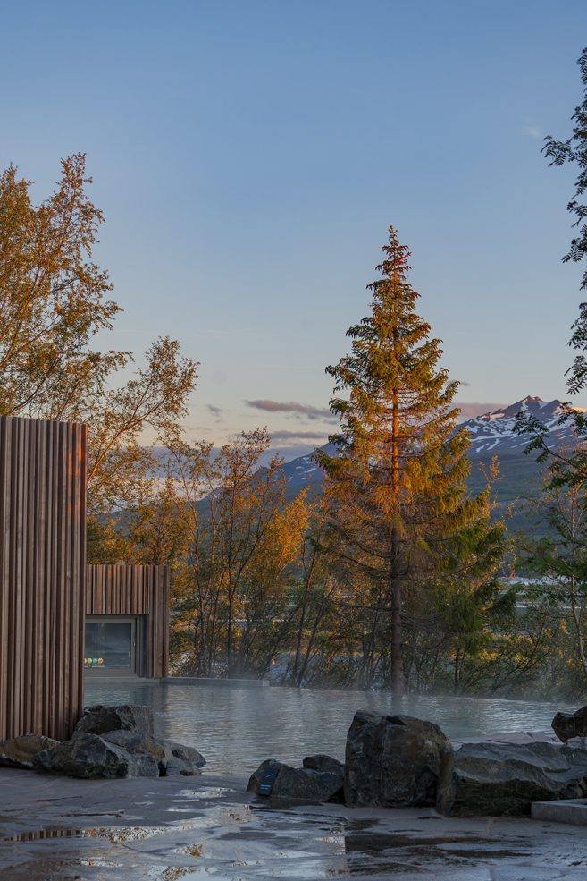 Iceland’s Blue Lagoon architects have designed a spectacular forest spa ...