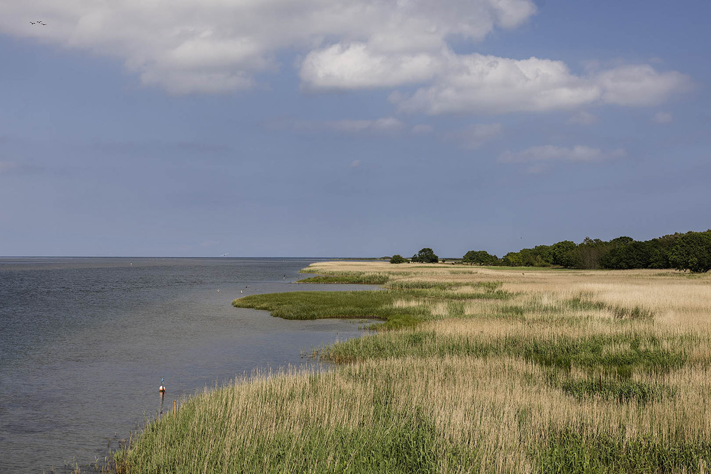 Simplicity is everything at this Danish summer house near Møn
