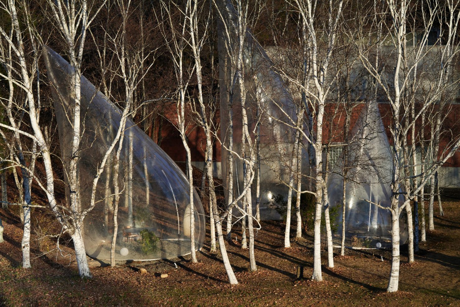 Yuko Nagayama’s teardrop tents allow for 360-degree forest bathing ...