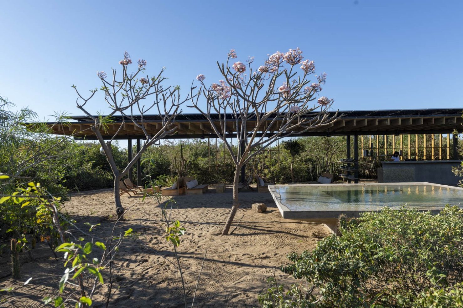Hotel Terrestre is a solar-powered resort on Mexico’s Oaxaca coast ...