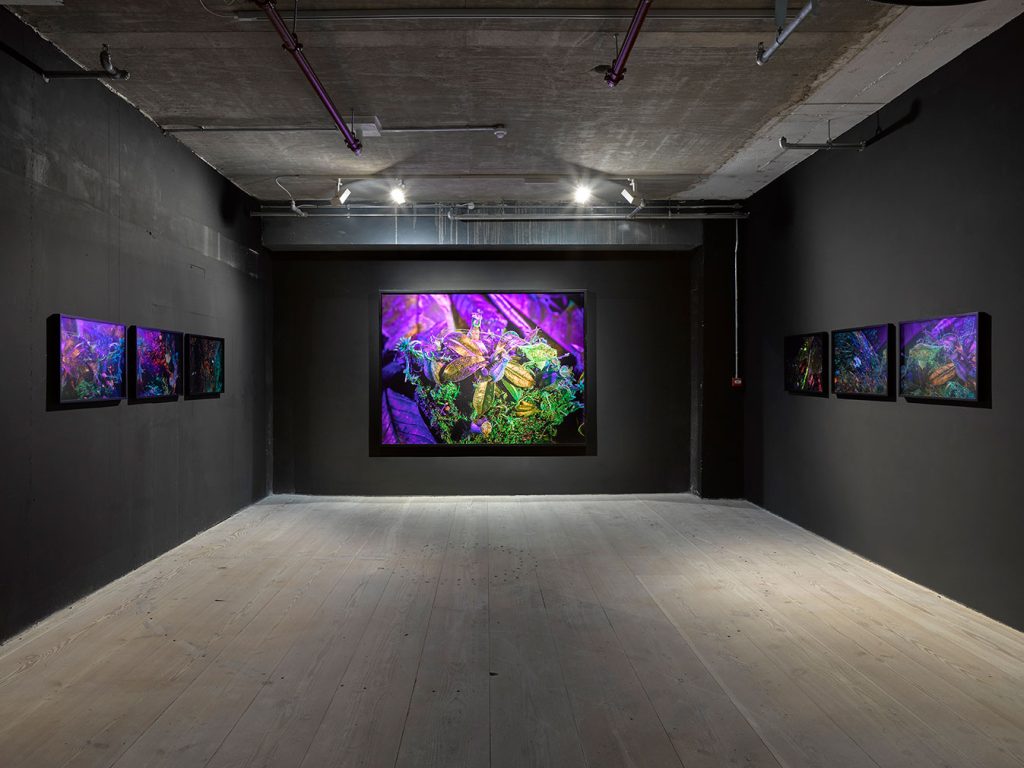 Universal Everything unleashes joy and playfulness at 180 Studios - The Spaces