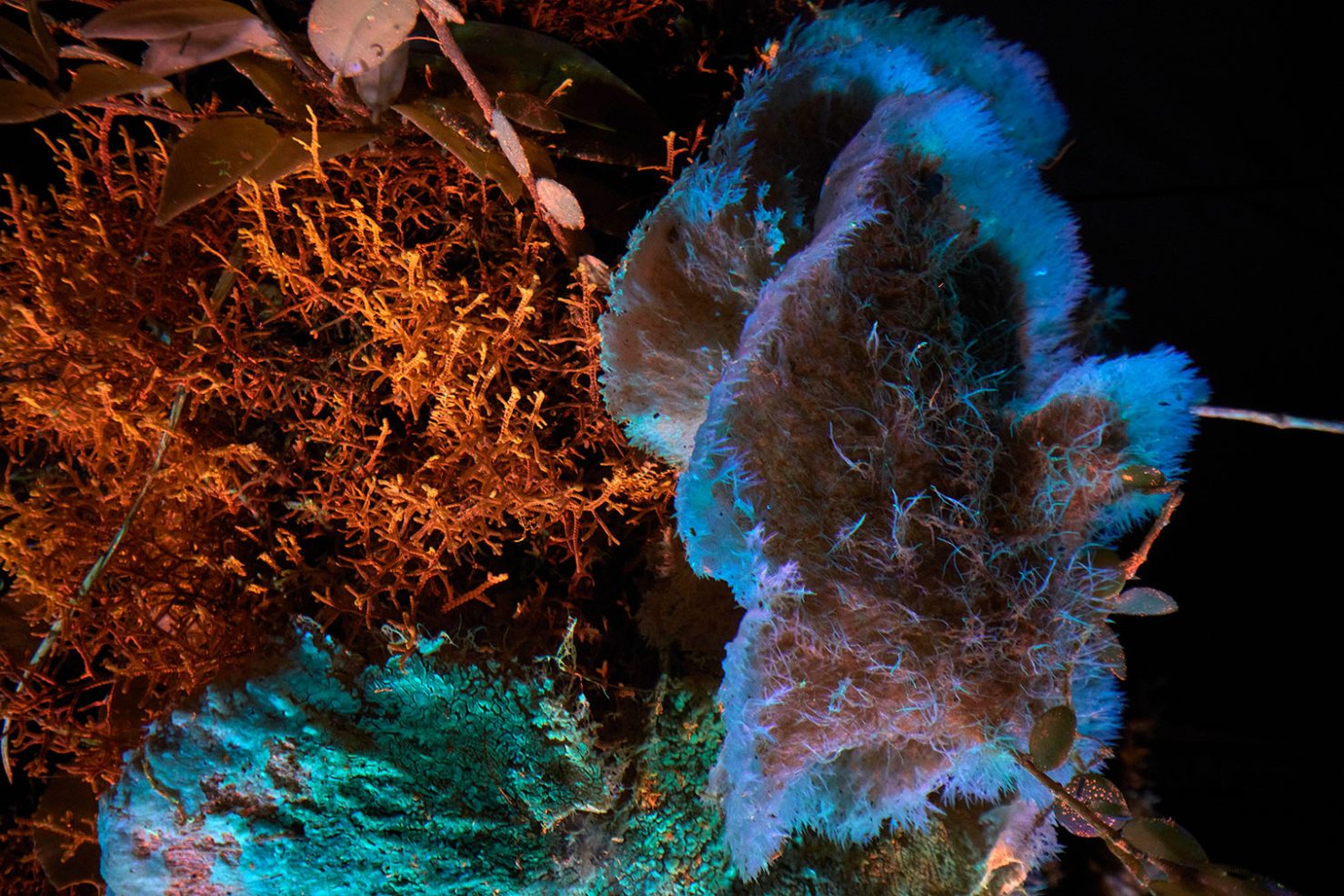 Universal Everything unleashes joy and playfulness at 180 Studios - The ...