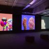 Universal Everything unleashes joy and playfulness at 180 Studios - The ...