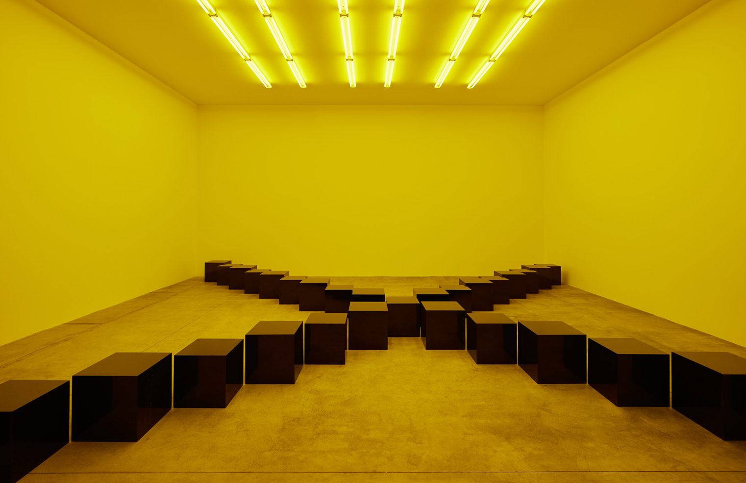 Bruce Nauman brings his neon artworks to Milan’s Pirelli HangarBicocca ...