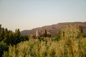 Moroccan slow retreat Olinto has opened in the High Atlas Mountains ...