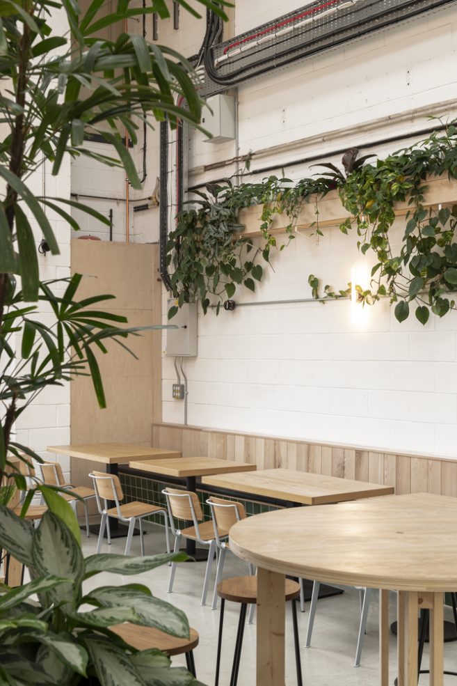 Bristol’s Wiper and True taproom is a ‘sheltered, green oasis’ for beer ...