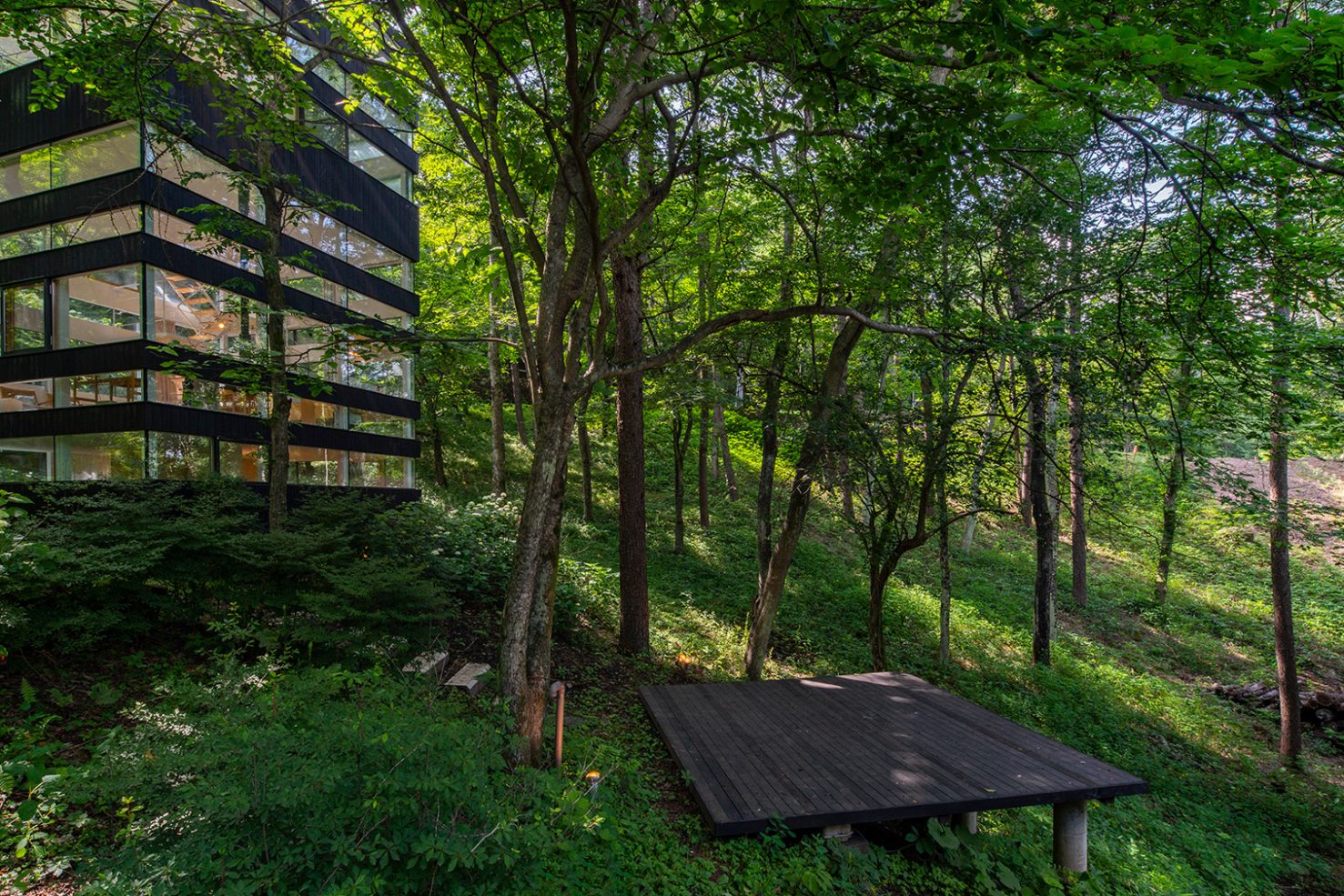 Inside a Japanese glass cabin designed for forest bathing - The Spaces