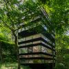 Inside a Japanese glass cabin designed for forest bathing - The Spaces