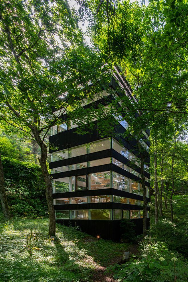 Inside a Japanese glass cabin designed for forest bathing - The Spaces