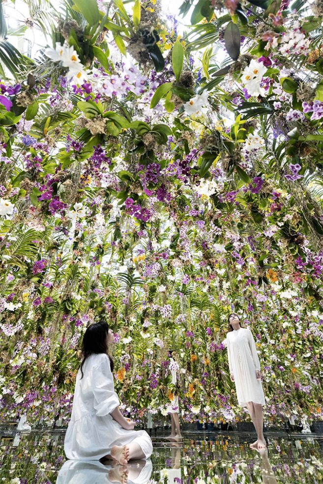 teamLab’s digital garden is abloom in Tokyo - The Spaces