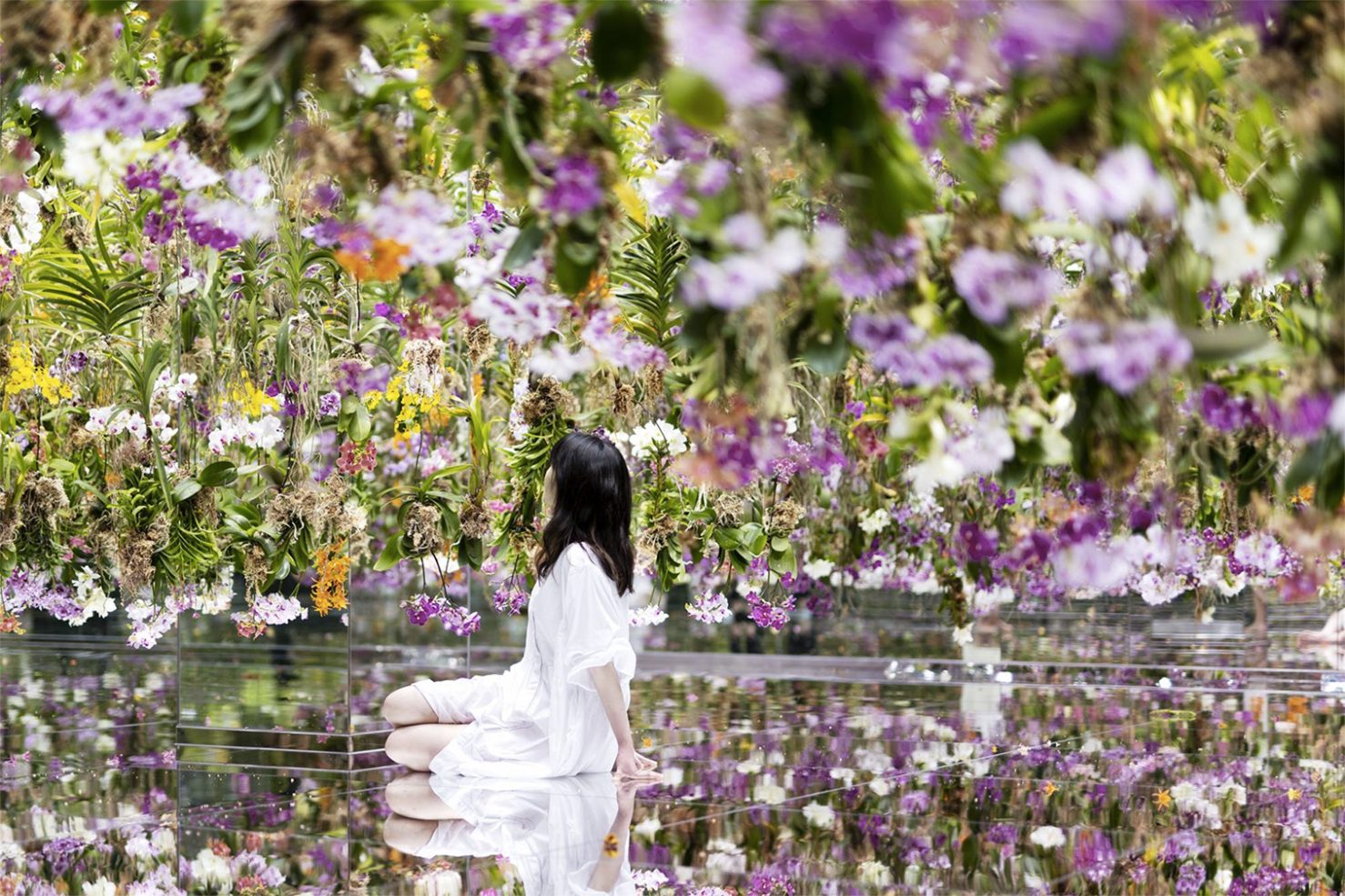 teamLab’s digital garden is abloom in Tokyo - The Spaces