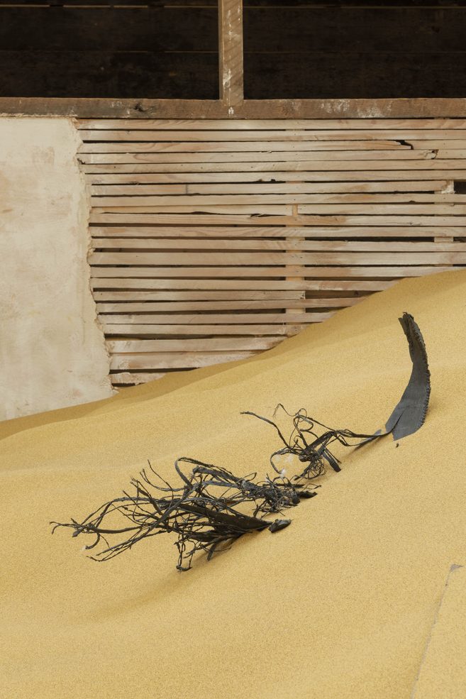 Mike Nelson opens ‘psychologically charged’ show at London’s Hayward ...