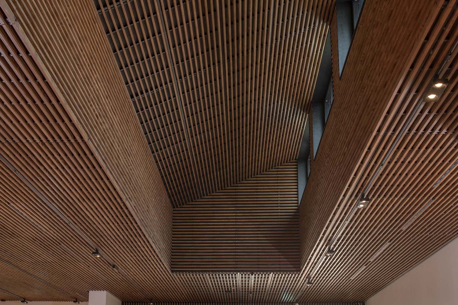 Manchester Museum reopens – and it has a new gallery dedicated to the ...