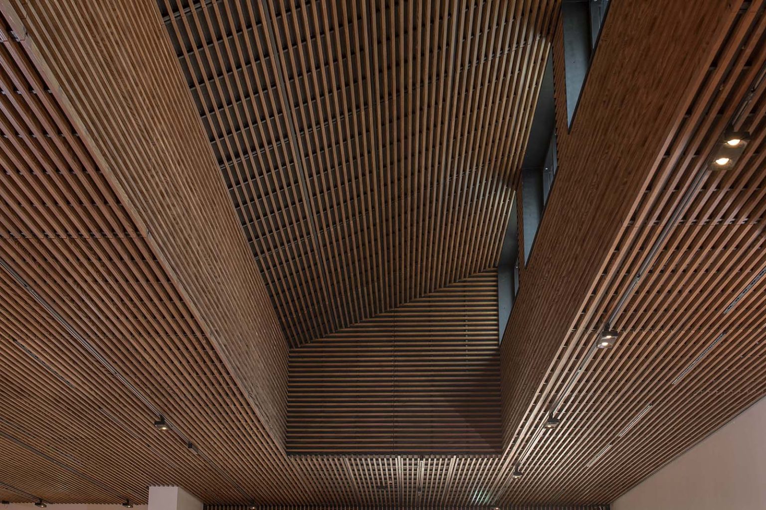 Manchester Museum reopens – and it has a new gallery dedicated to the ...