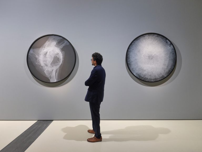 A set of new Olafur Eliasson artworks are debuting in the Qatar desert ...