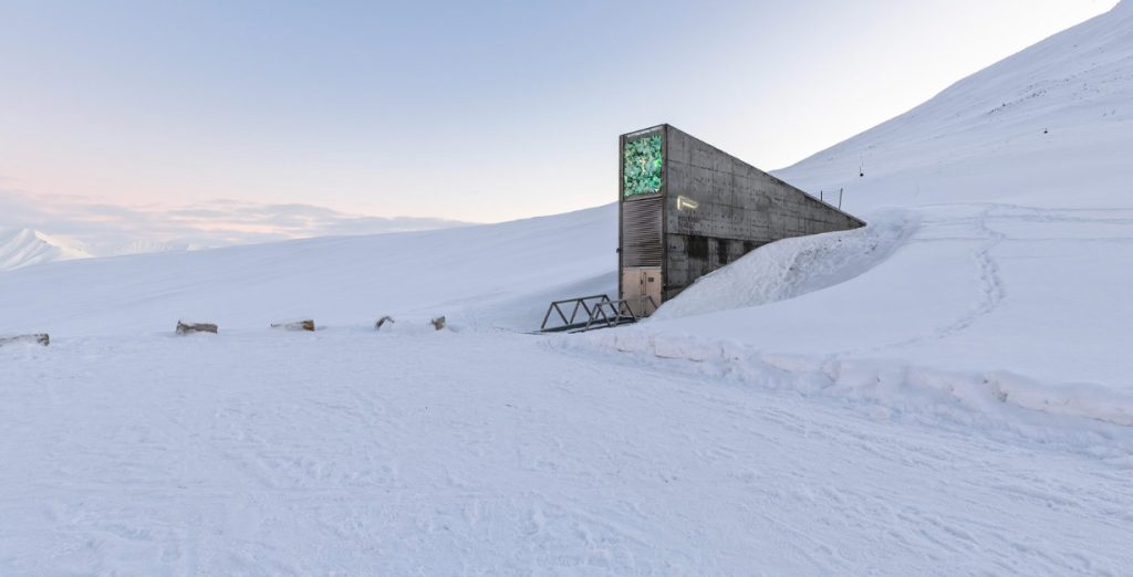 Take a virtual tour of Svalbard's ‘doomsday’ seed bank - The Spaces