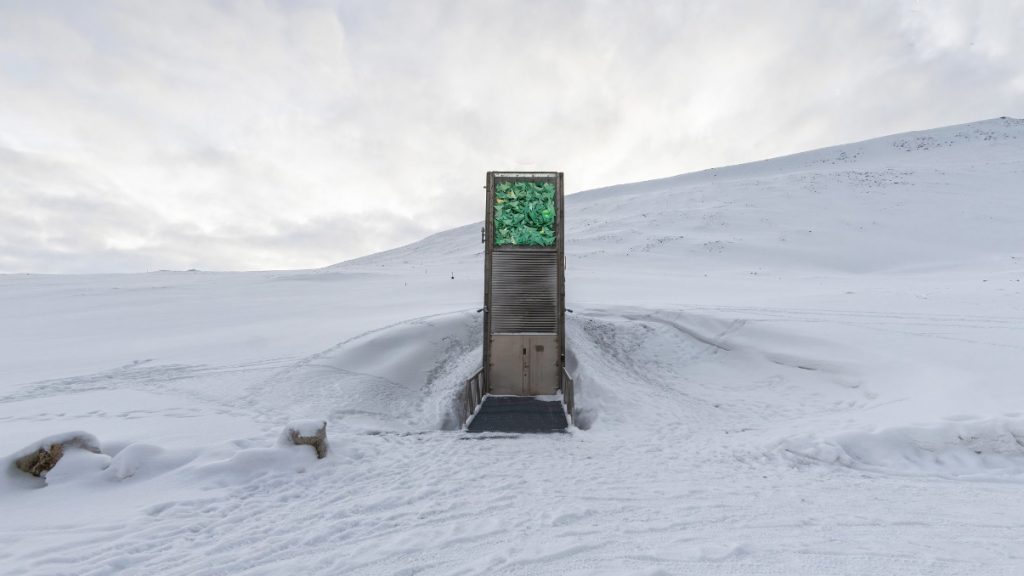 Take a virtual tour of Svalbard's ‘doomsday’ seed bank - The Spaces