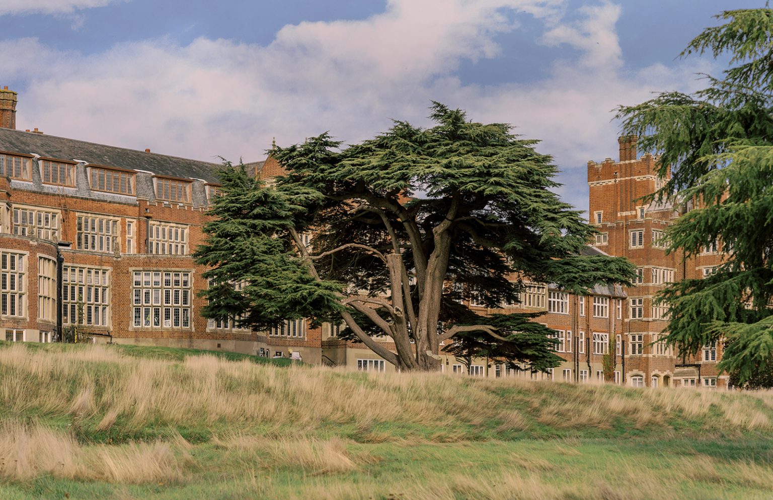 Birch brings its brand of wellness focussed hospitality to leafy Surrey ...